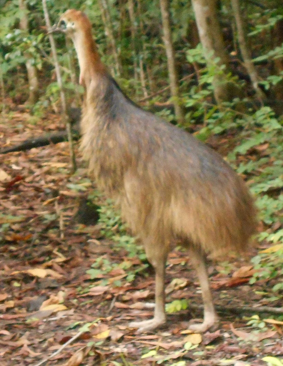 Undefined Method For Nil Nilclass Nomethoderror Ruby Ruby Forum